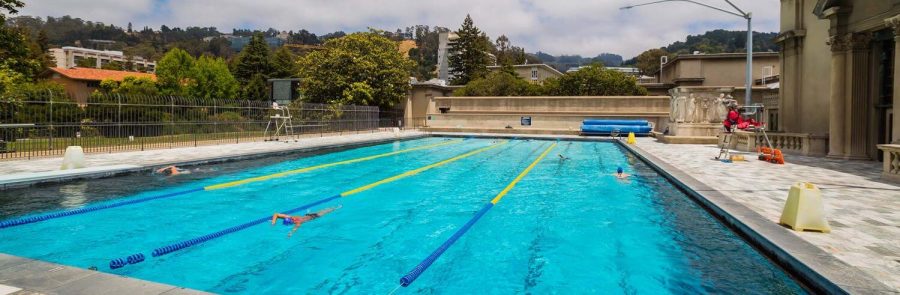 7 Day Swim Review: The Fastest Way To Learn How To Swim? - Fit Without Pain