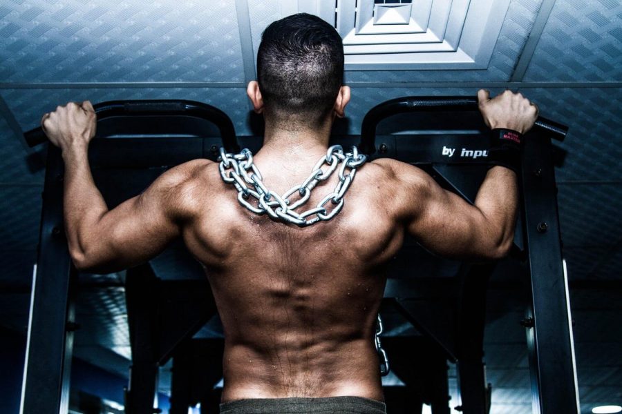 Critical Bench Program Review: Increase Your Bench Max Weight