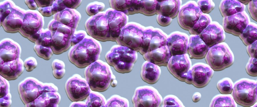 Rise of the Superbugs - Fit Without Pain